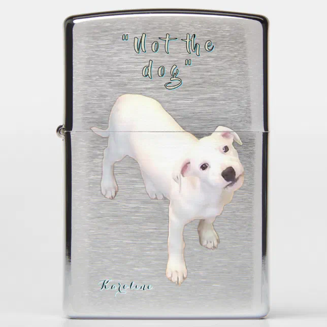 Dog Fun Zippo Lighter | Zazzle