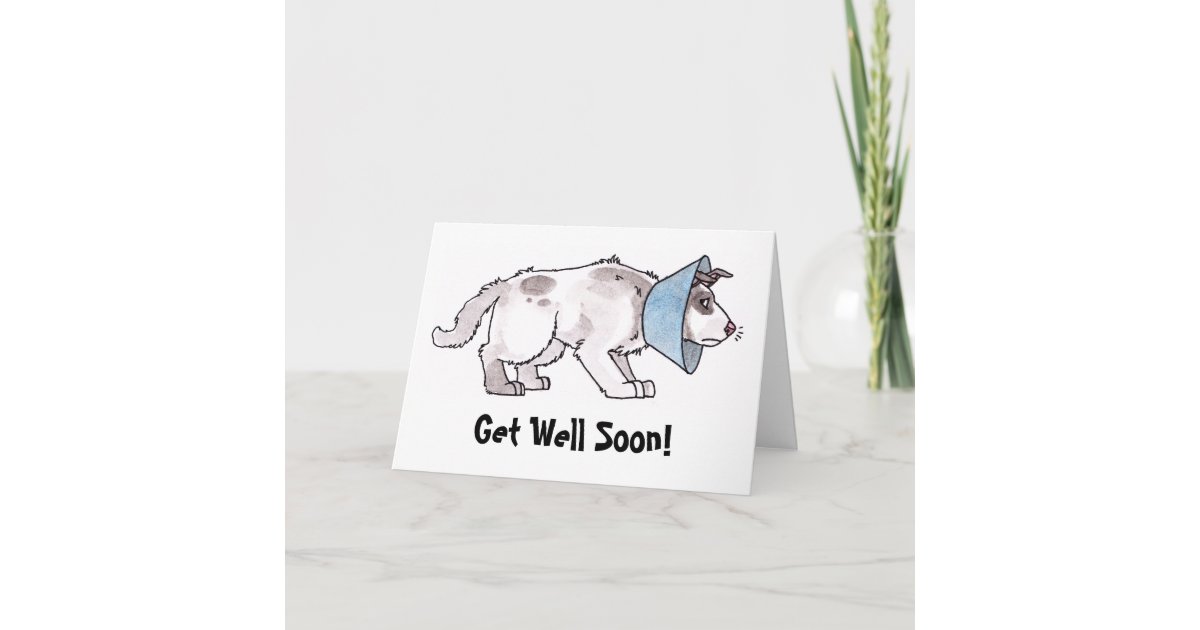 Dog "Get Well Soon" Card | Zazzle