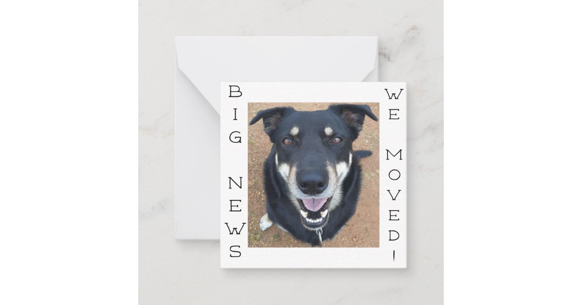 Dog gone HAPPY! Postcard | Zazzle