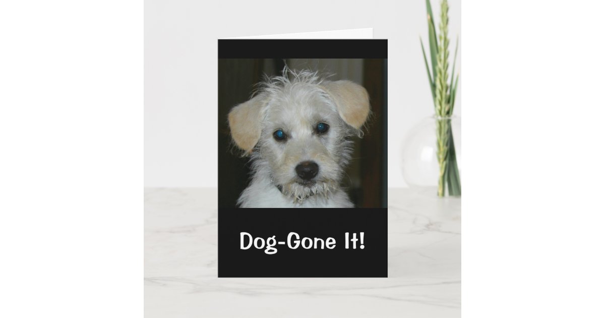 Dog-Gone It I Missed Your Birthday! Card | Zazzle