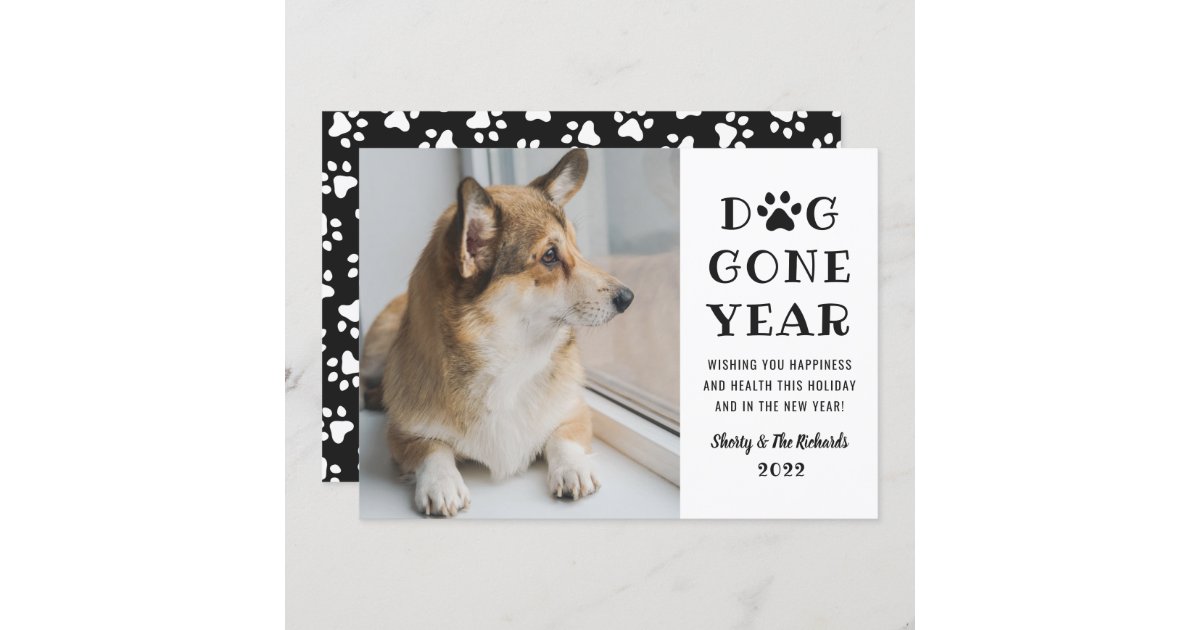 Dog Gone Year Funny Black White Pet Photo Holiday Card | Zazzle