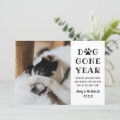 Dog Gone Year Funny Black White Pet Photo Holiday Card | Zazzle