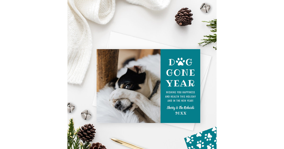 Dog Gone Year Funny Teal Pet Photo Holiday Card | Zazzle