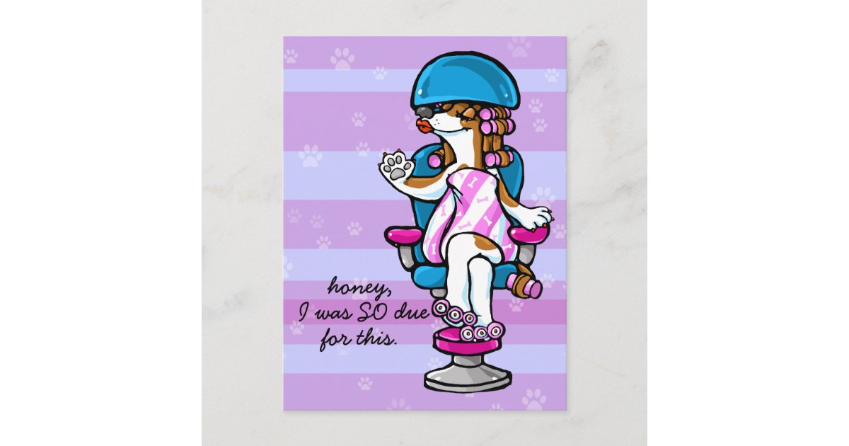 Dog Grooming Appointment reminder Postcard | Zazzle