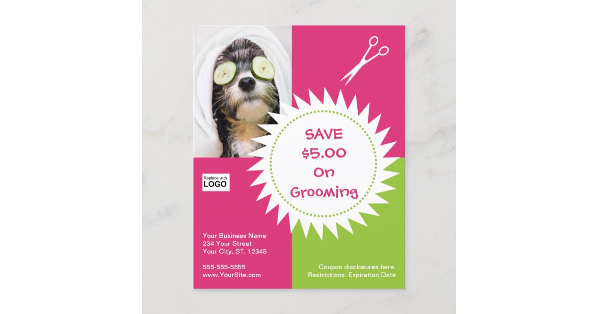 Dog grooming coupon flyer | Zazzle