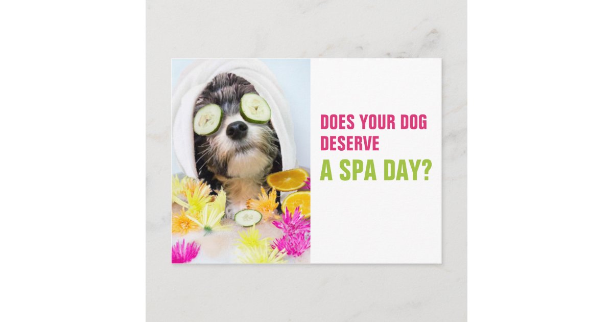 Dog Grooming Postcard-Spa Postcard | Zazzle