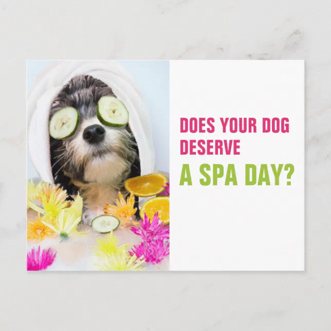 Dog Grooming Postcard-Spa Postcard | Zazzle