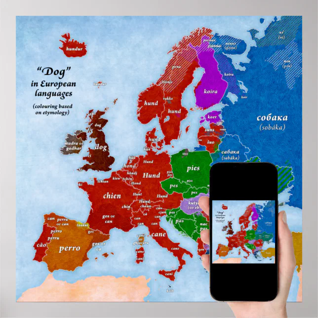 Dog in European Languages Map Poster | Zazzle