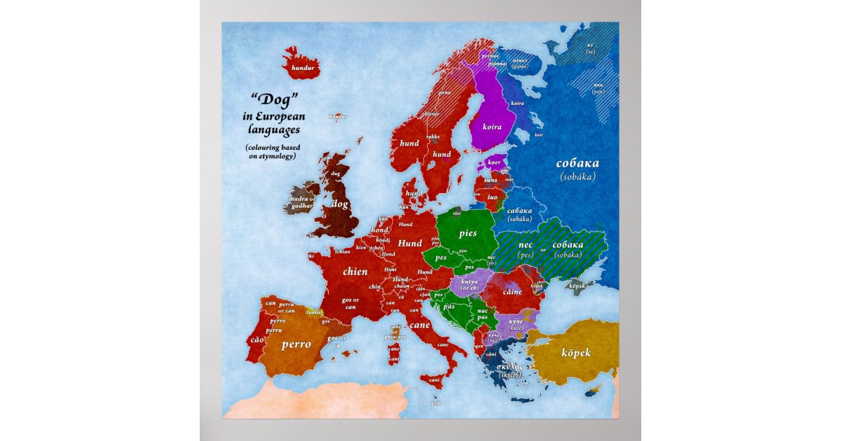 Dog in European Languages Map Poster | Zazzle