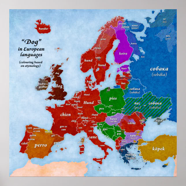 Dog in European Languages Map Poster | Zazzle
