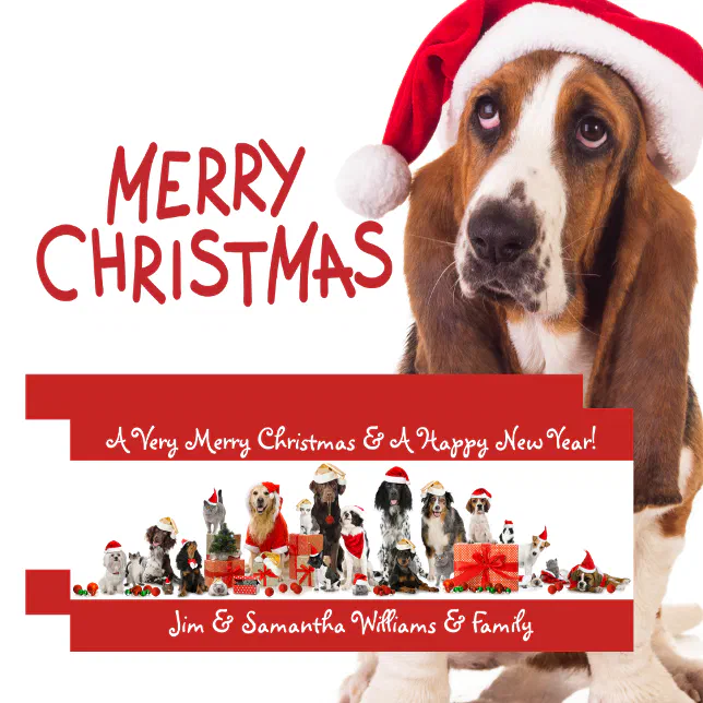 Dog Lovers Merry Christmas Card | Zazzle