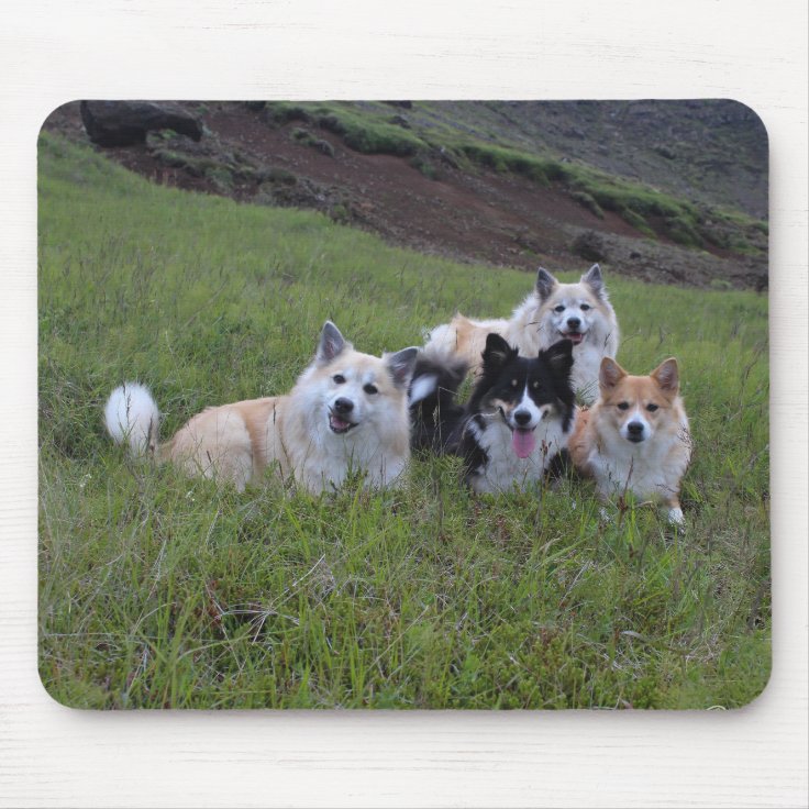 Dog lover's mousepad, customize mouse pad | Zazzle