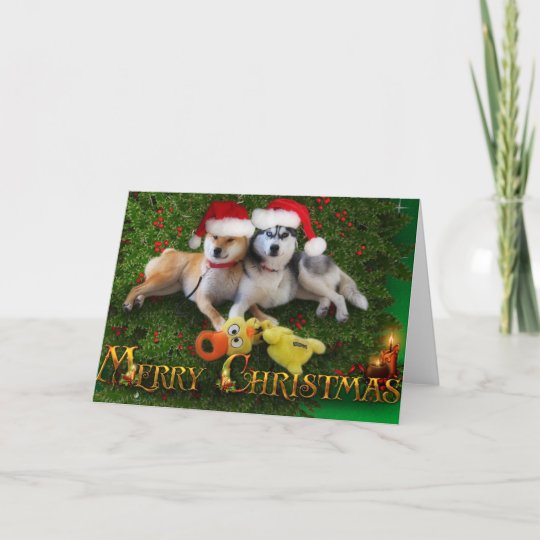Dog Merry Christmas Card | Zazzle.com