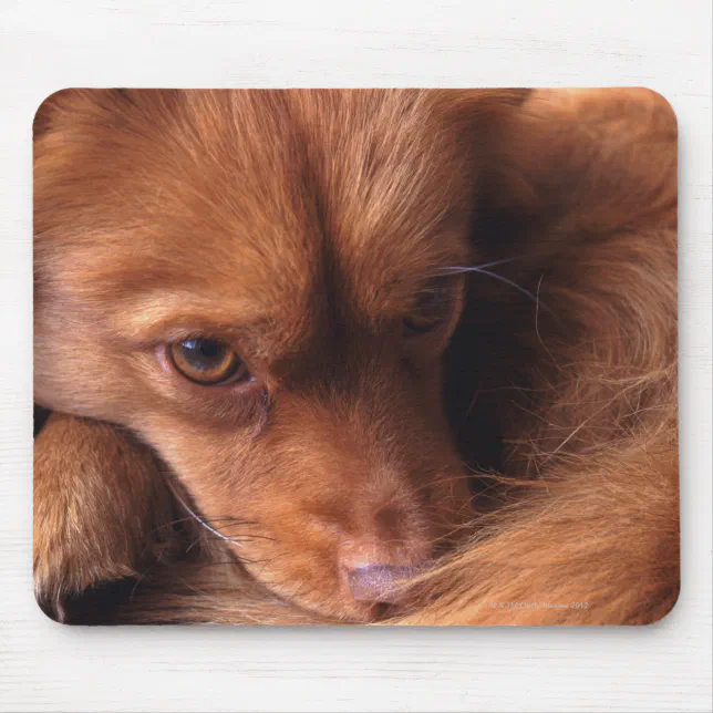 dog mouse pad | Zazzle
