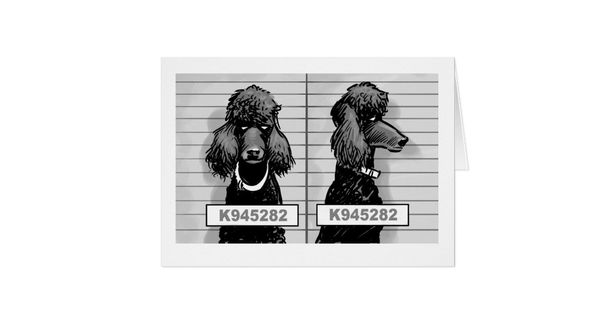 Dog Mug Shot Card | Zazzle