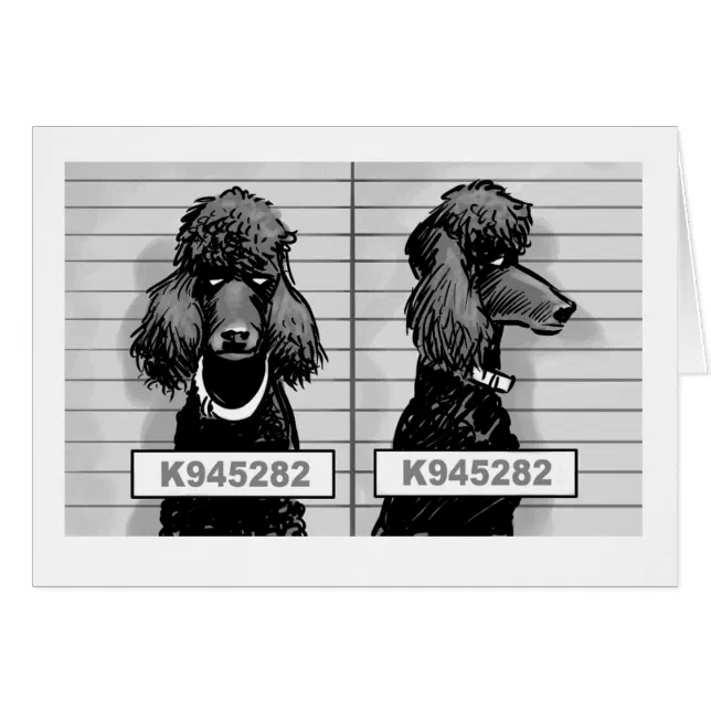 Dog Mug Shot Card | Zazzle
