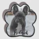 Dog Name Black Script Paw Print Photo Car Magnet | Zazzle