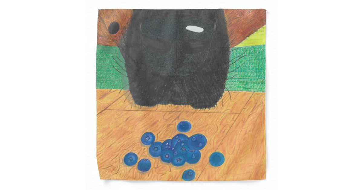 Dog nose and blueberry bandana | Zazzle
