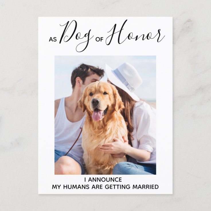 Dog of Honor Dog Wedding Save The Date Announcement Postcard | Zazzle