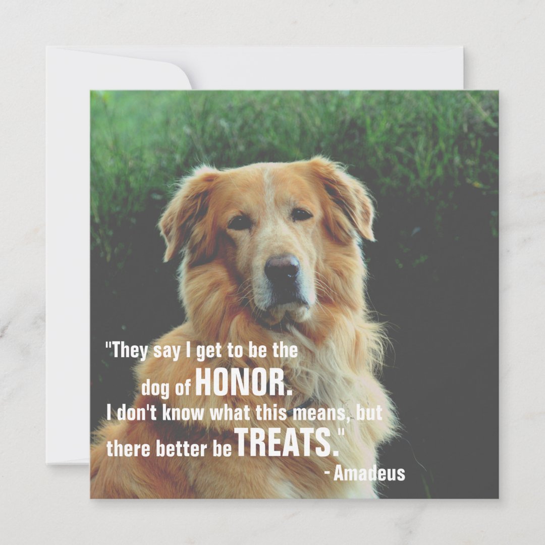 Dog Of Honor Funny Pet Save The Date | Zazzle