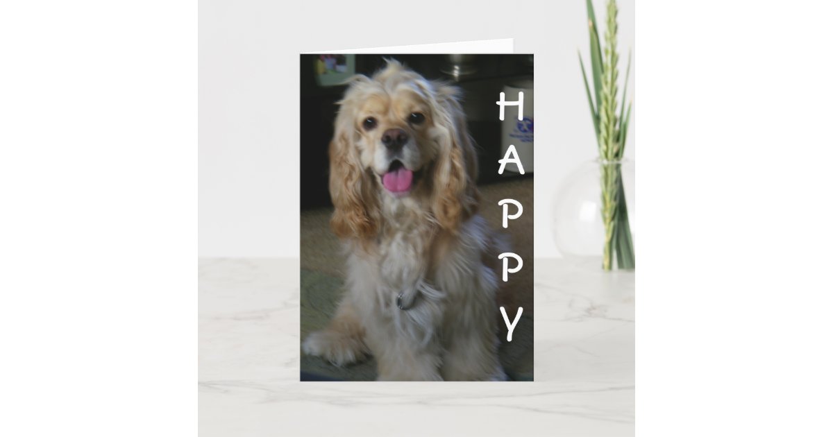 "DOG-ON GOOD BIRTHDAY" says COCKER SPANIEL Card | Zazzle.com