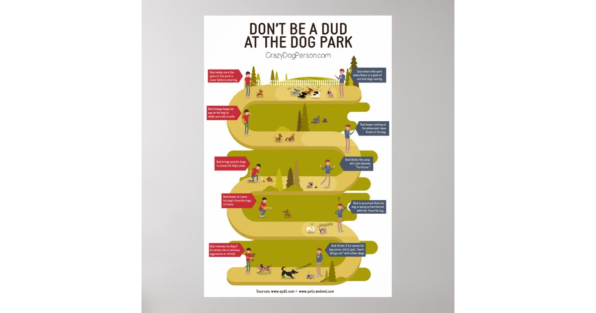 Dog Park Etiquette 101 Infographic Poster | Zazzle