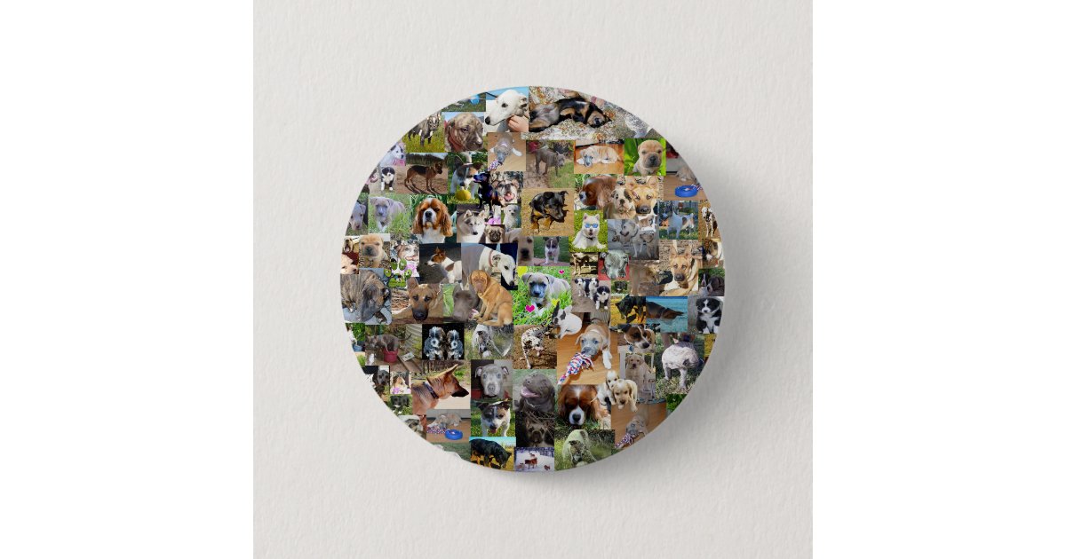 Dog Photo Collage, Button | Zazzle