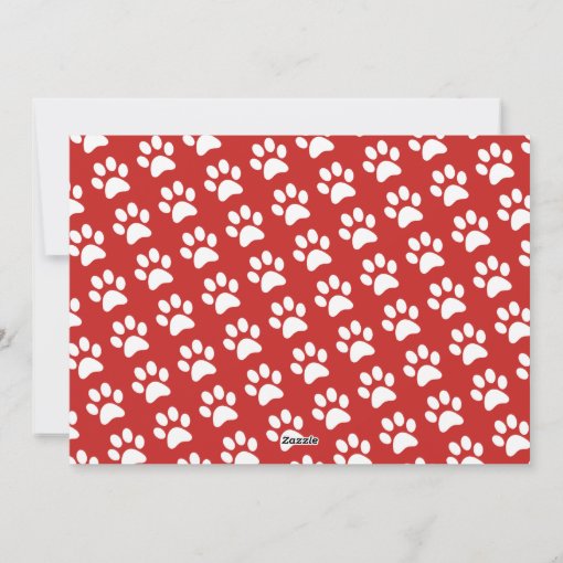 Dog Photo Funny Feliz Navidad Christmas Pet Holiday Card | Zazzle