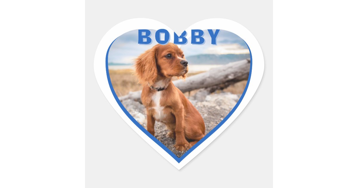 Dog Photo Name Blue Heart Dog Heart Sticker | Zazzle