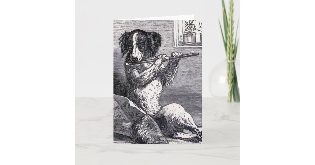 "Dog Playing the Flute" Vintage Illustration Card | Zazzle.com