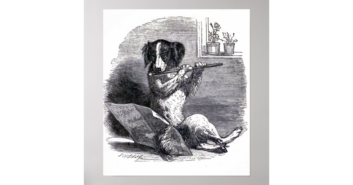 "Dog Playing the Flute" Vintage Illustration Poster | Zazzle