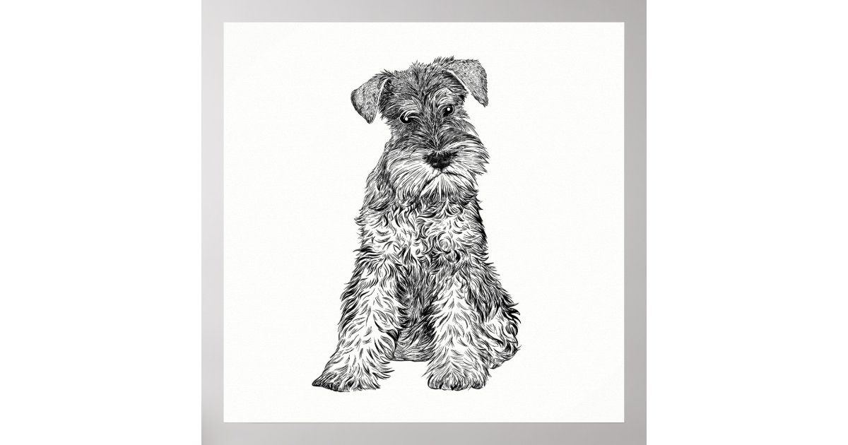Dog Poster / Wall Art Schnauzer | Zazzle