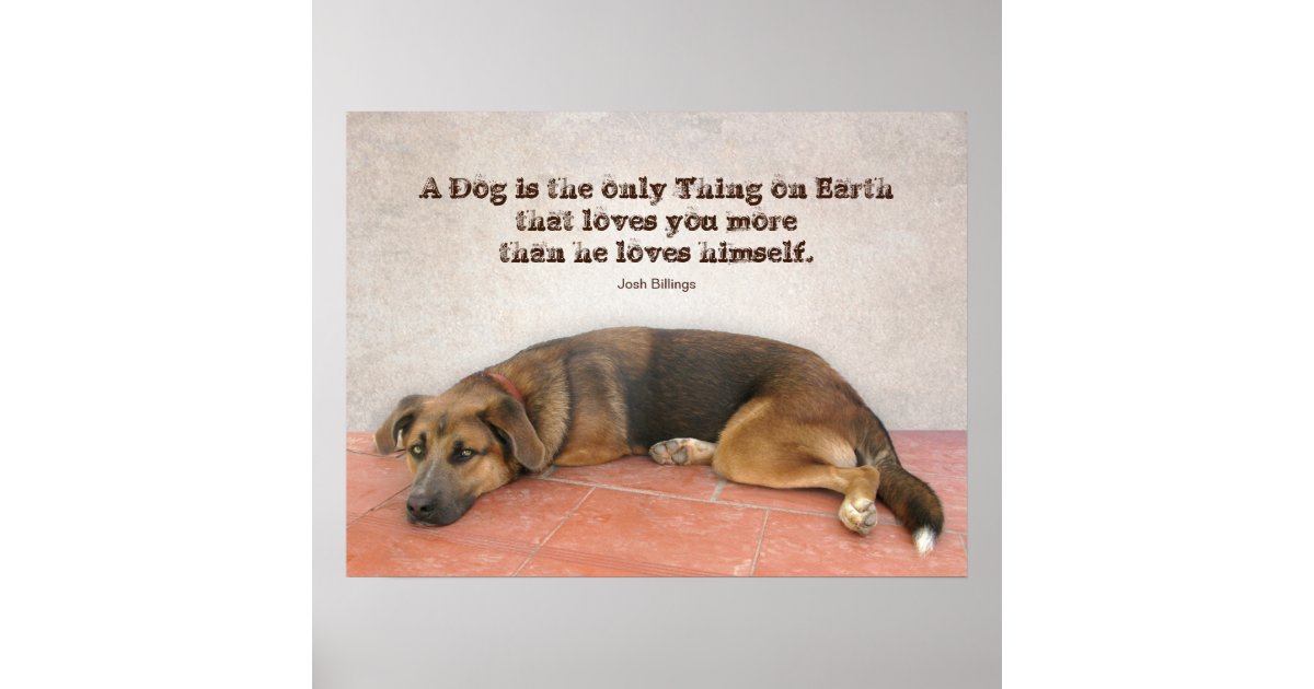 Dog Quote Poster | Zazzle
