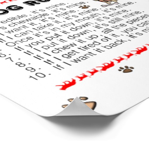 Dog Rules Poster | Zazzle