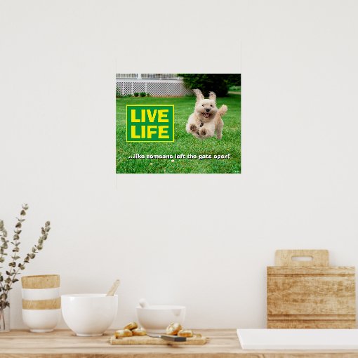 Dog Running In Yard Poster | Zazzle