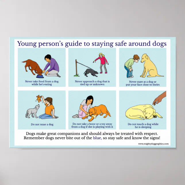 Dog safety poster | Zazzle
