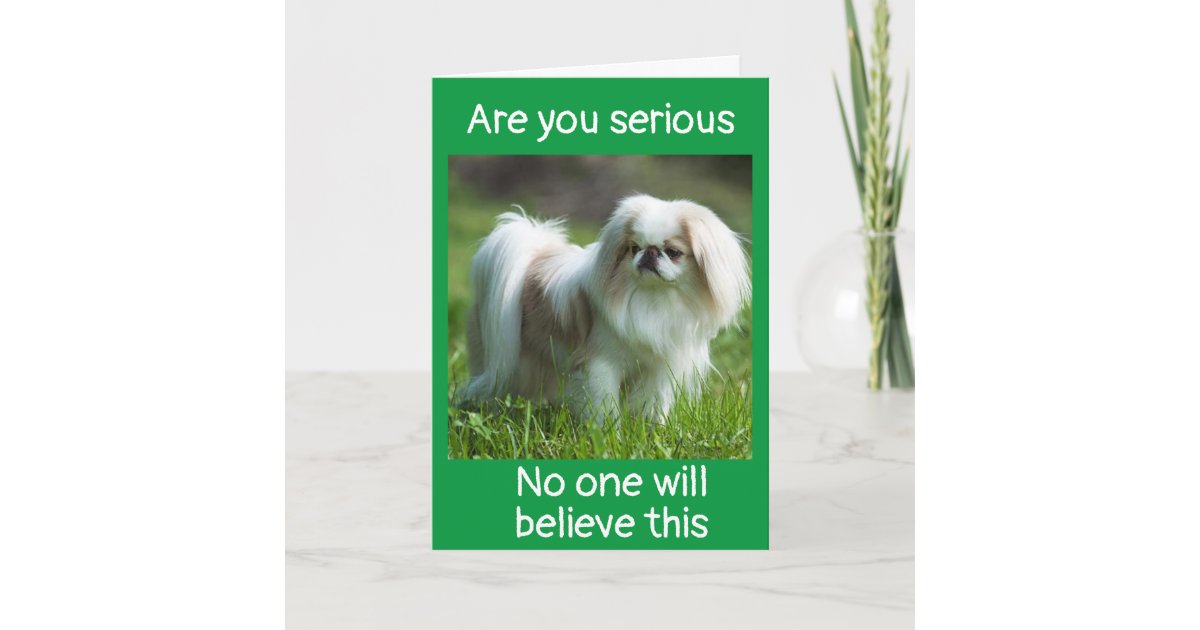 DOG SAYS *CONGRATULATIONS ON YOUR *PROMOTION* CARD | Zazzle