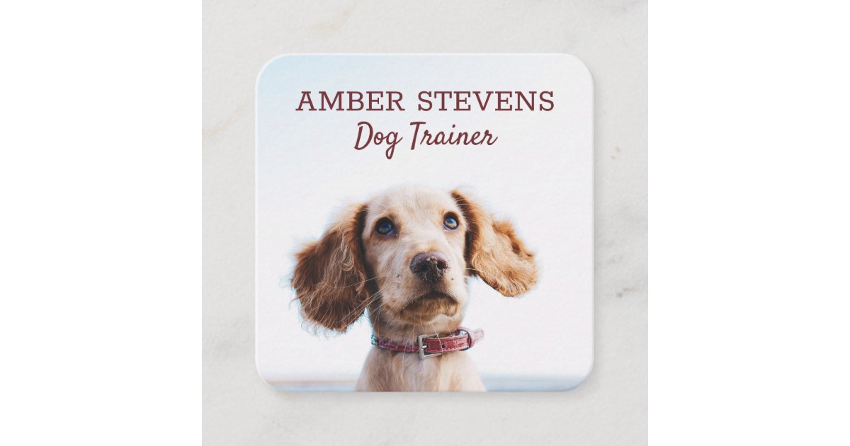 Dog Sitting | Dog Trainer Square Business Card | Zazzle