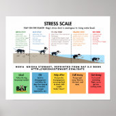 Dog Stress Scale - Avoidance/Fear Beach Analogy Poster | Zazzle