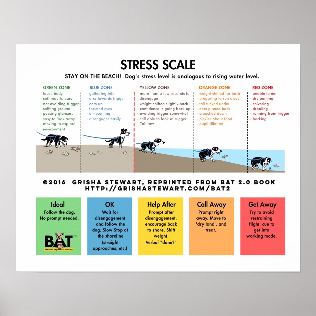 Dog Stress Scale - Avoidance/Fear Beach Analogy Poster | Zazzle