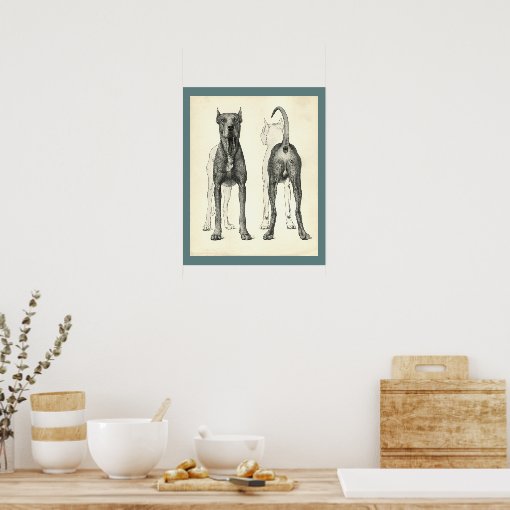 Dog Surface Topography Veterinary Anatomy Print | Zazzle