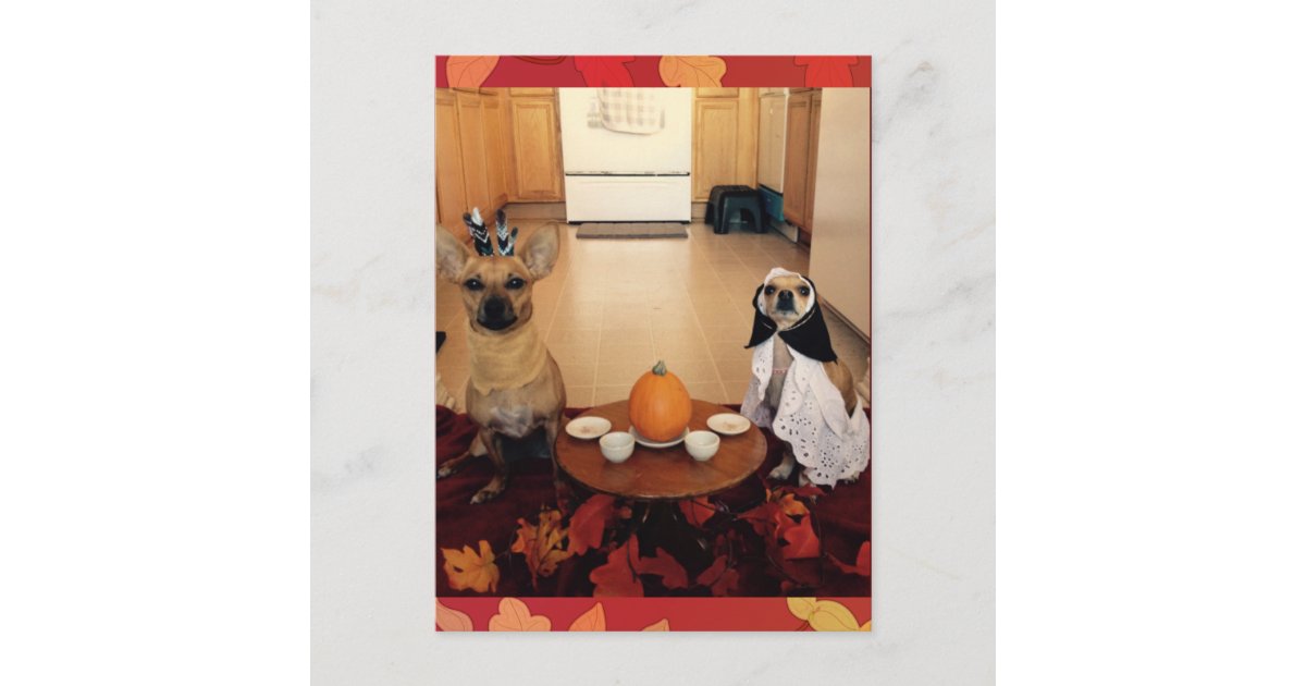 Dog Thanksgiving Holiday Postcard | Zazzle
