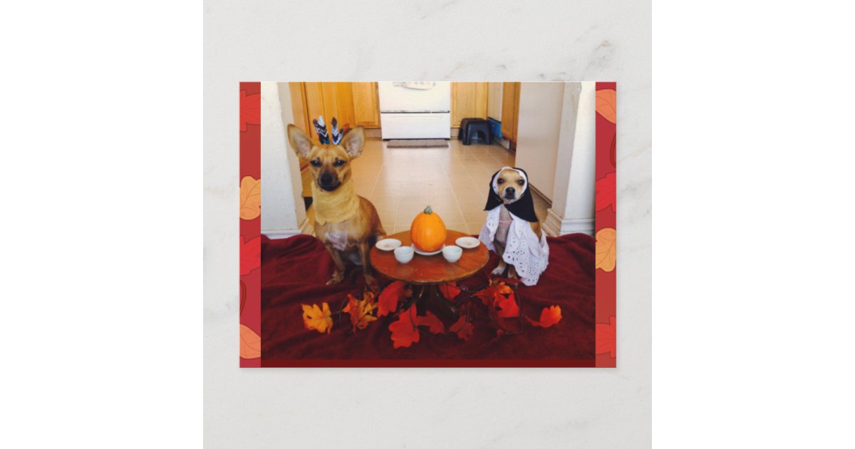 Dog Thanksgiving Holiday Postcard | Zazzle