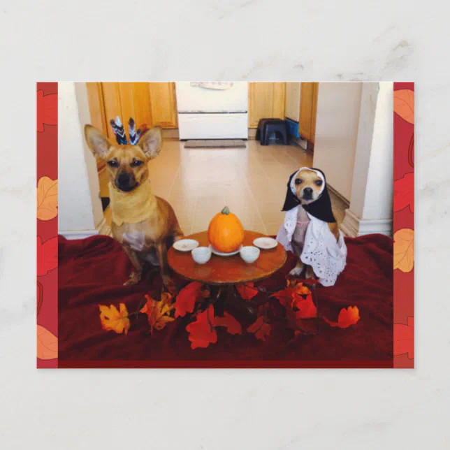 Dog Thanksgiving Holiday Postcard | Zazzle