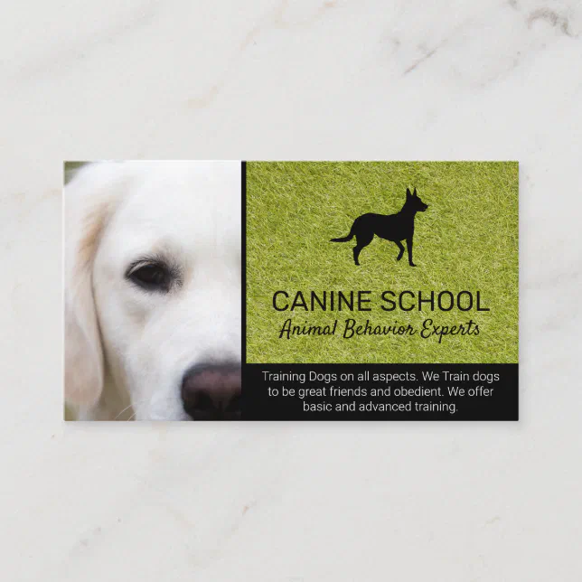 Dog Trainer | Animal Behavior Business Card | Zazzle