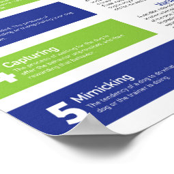 Dog Training Poster | Zazzle