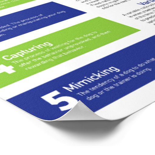 Dog Training Poster | Zazzle