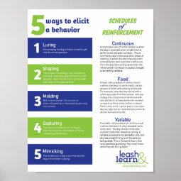 Dog Training Poster | Zazzle