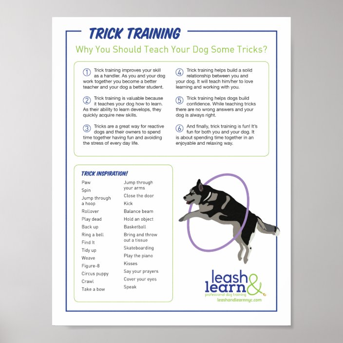 Dog Trick Training Poster | Zazzle.com