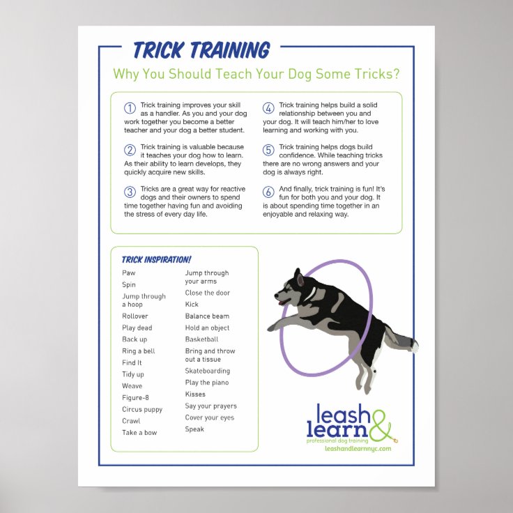 Dog Trick Training Poster | Zazzle